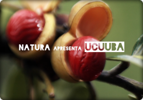 Ekos Ucuuba | Adlatina